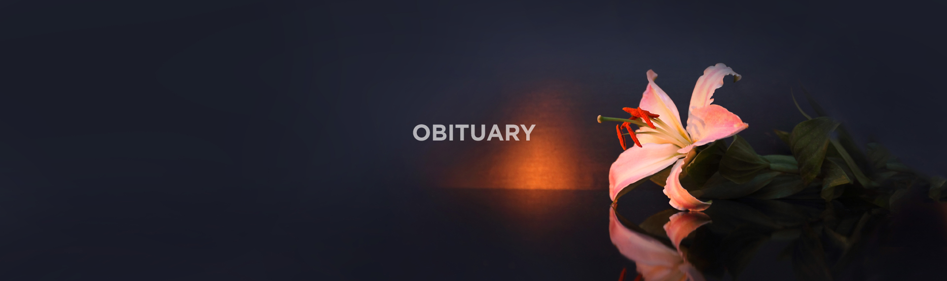 Obituary: David Starmer - The OCA